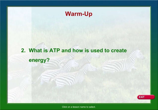 Photosynthesis and Cellular Respiration (An Introduction) | PPT ...