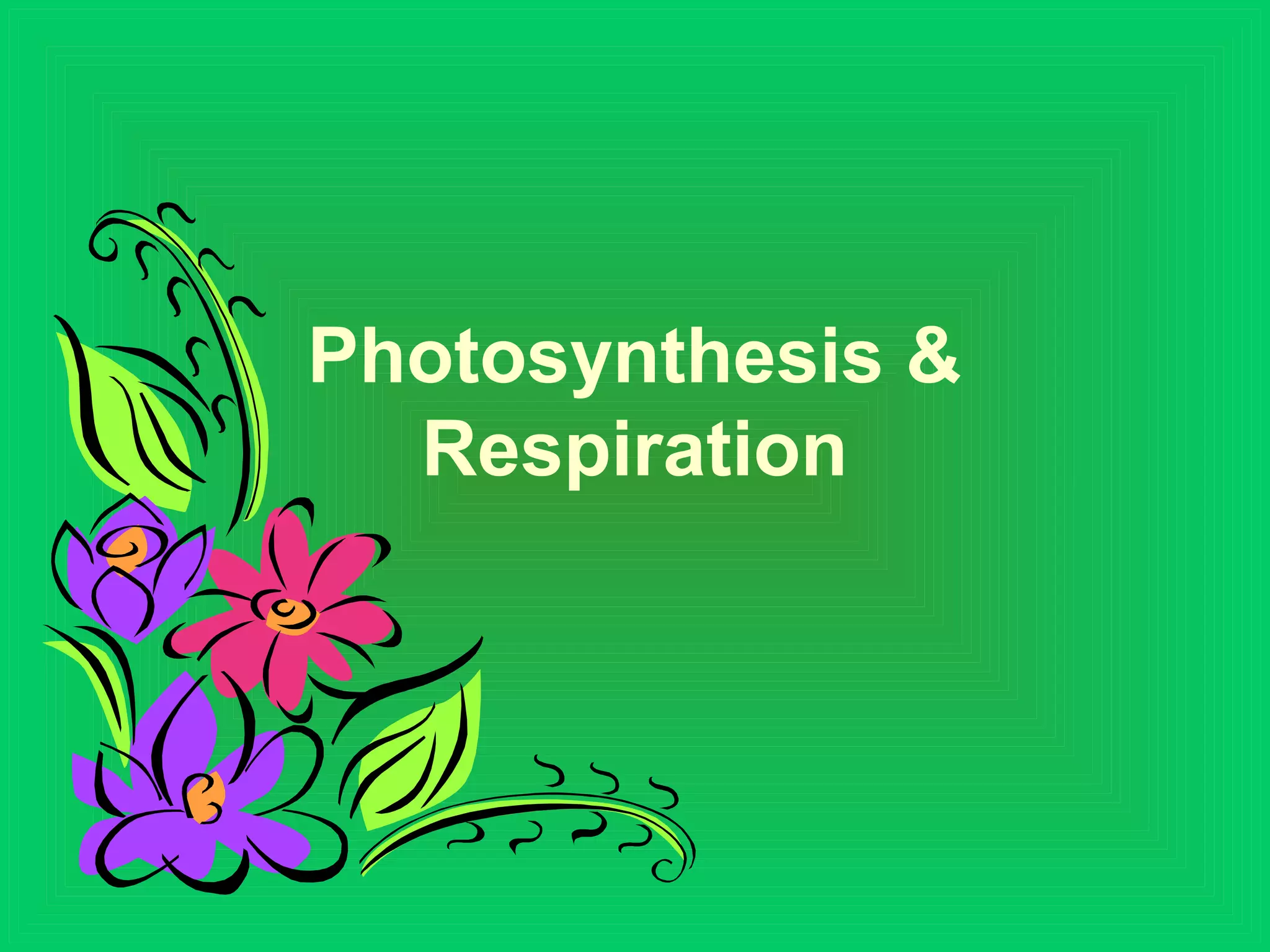 Photosynthesis and Cellular Respiration | PPT