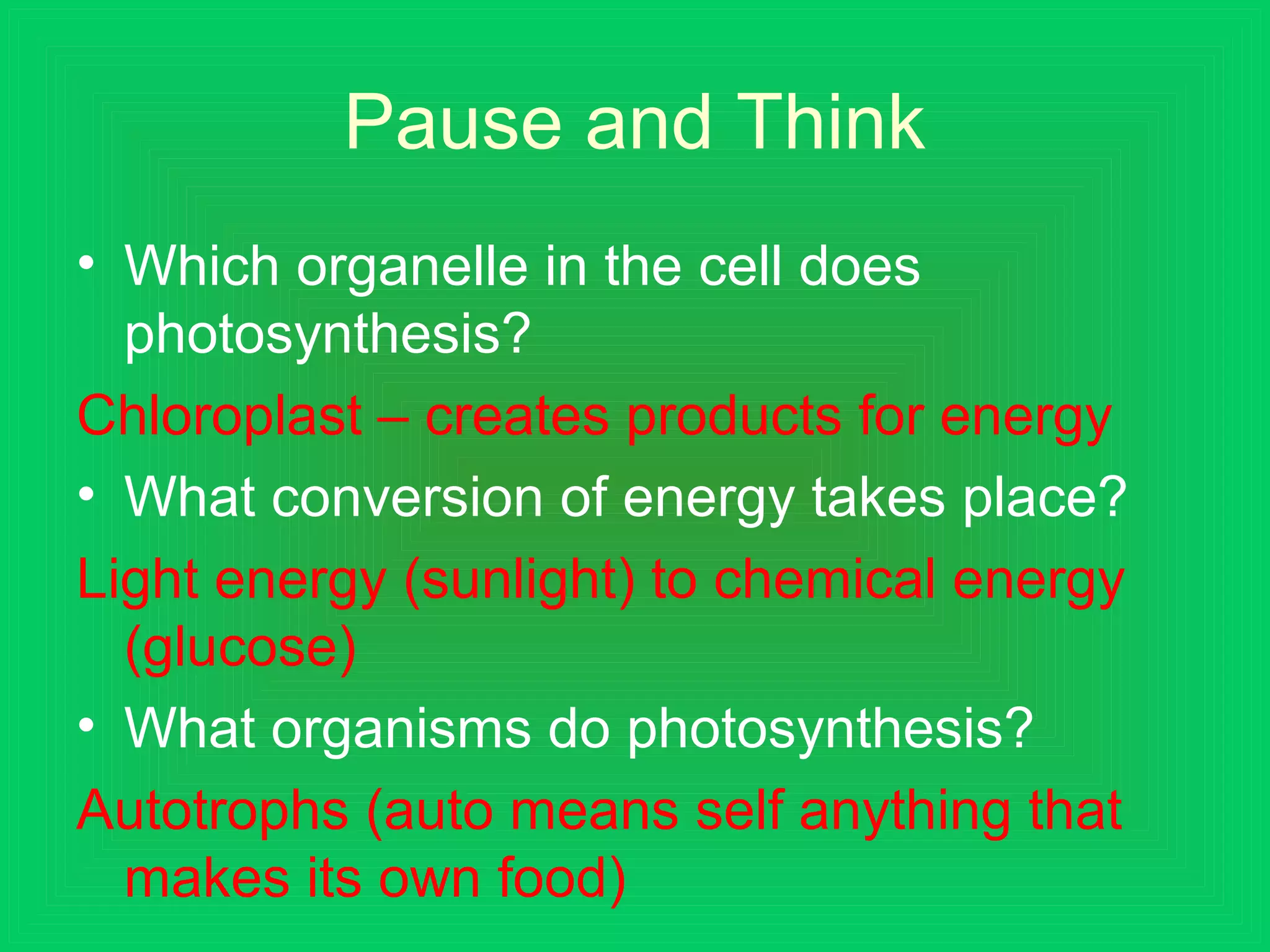 Photosynthesis and Cellular Respiration | PPT