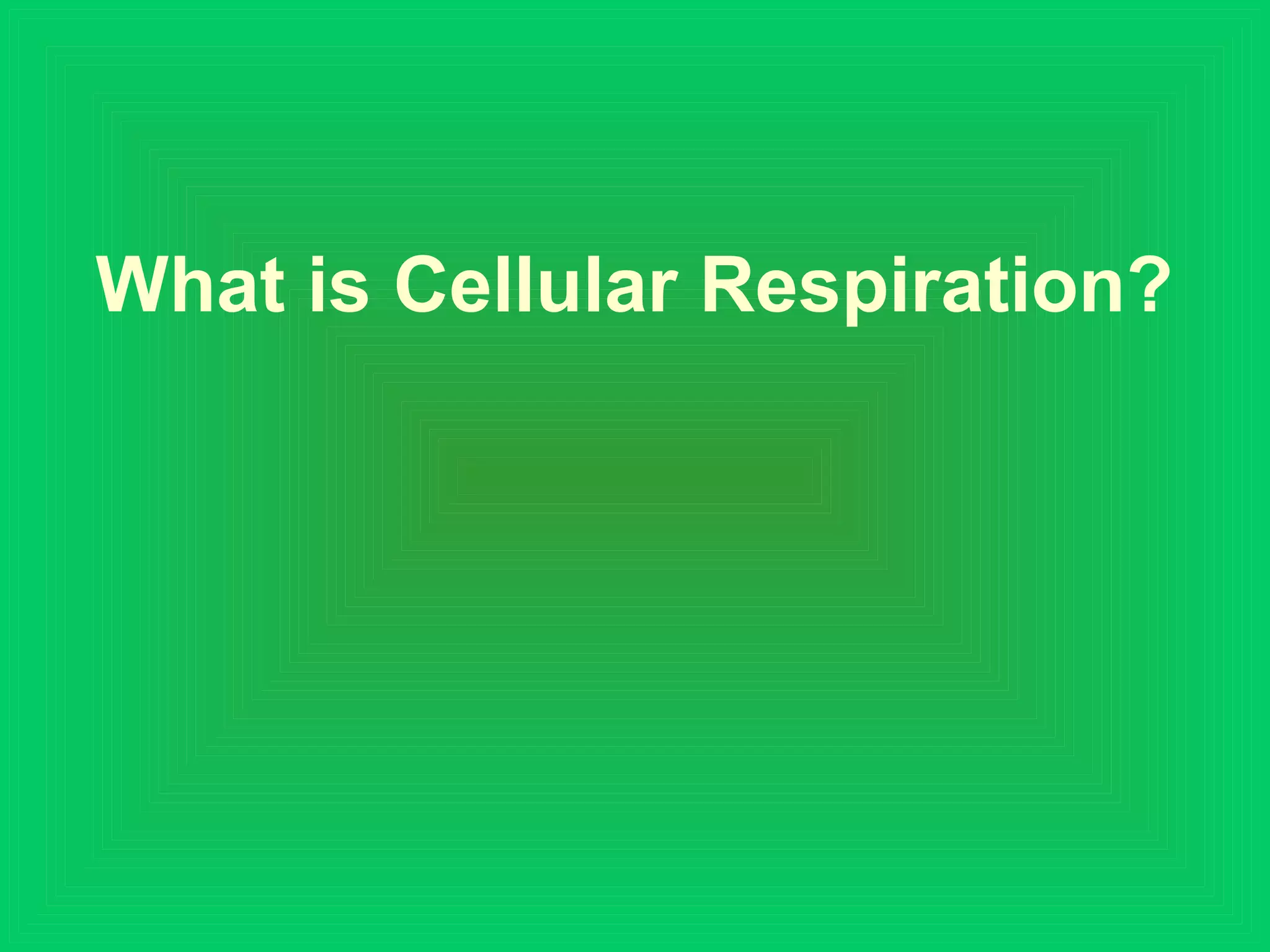 Photosynthesis and Cellular Respiration | PPT