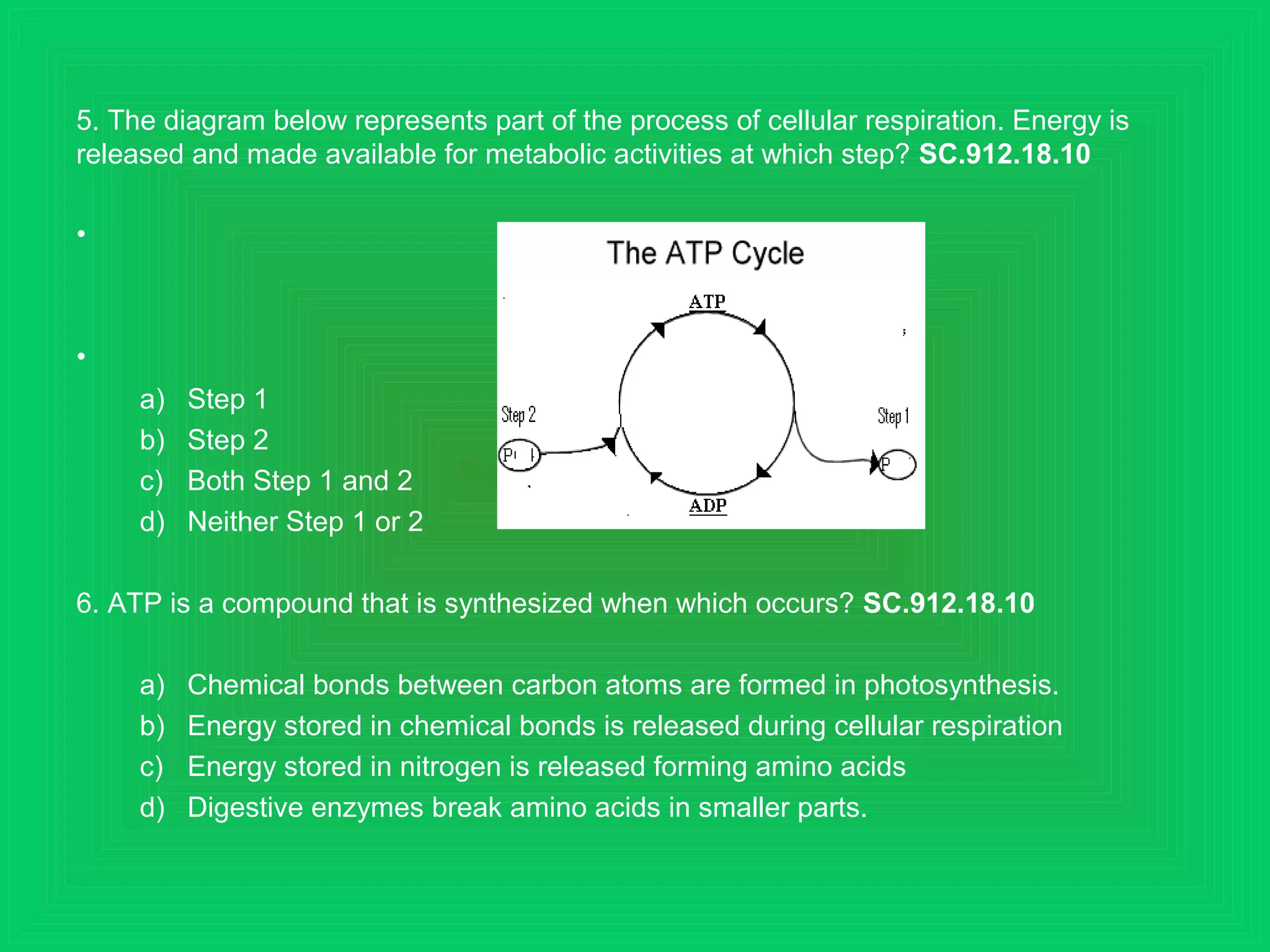 Photosynthesis and Cellular Respiration | PPT