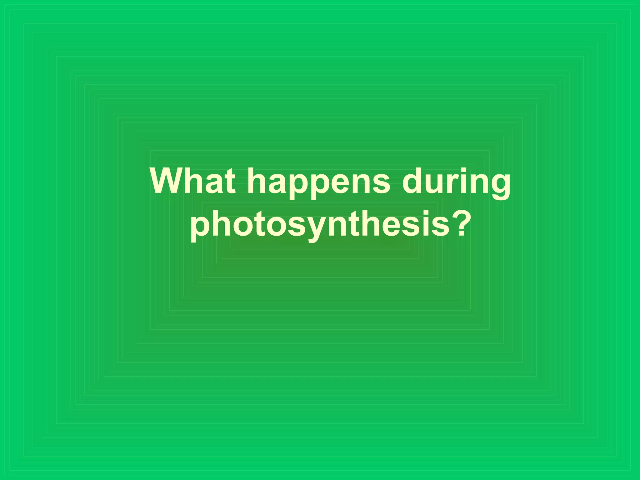 Photosynthesis and Cellular Respiration | PPT
