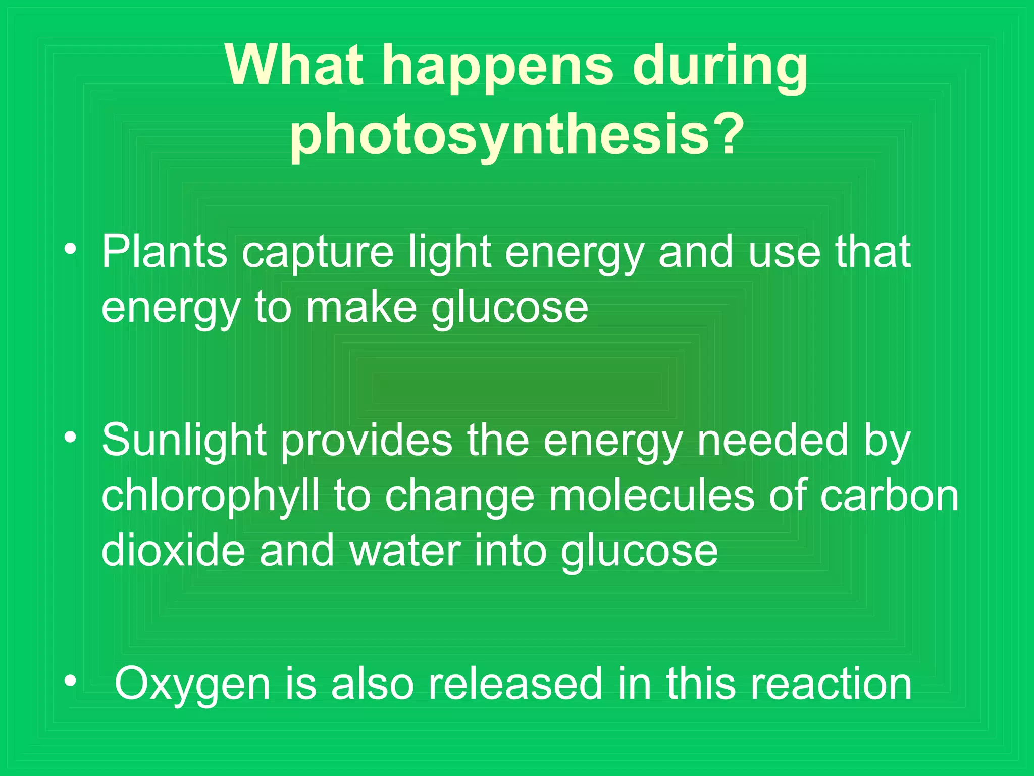 Photosynthesis and Cellular Respiration | PPT