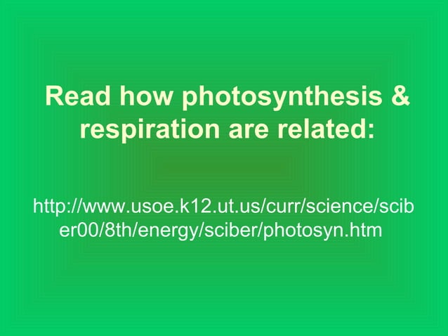Photosynthesis and Cellular Respiration | PPT
