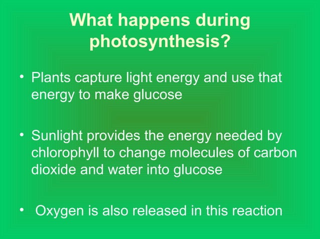 Photosynthesis and Cellular Respiration | PPT