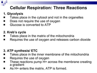 BIOLOGICAL SCIENCE~photosynthesis and cellular respiration | PPT