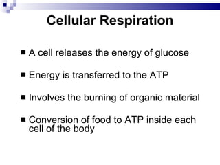 BIOLOGICAL SCIENCE~photosynthesis and cellular respiration | PPT