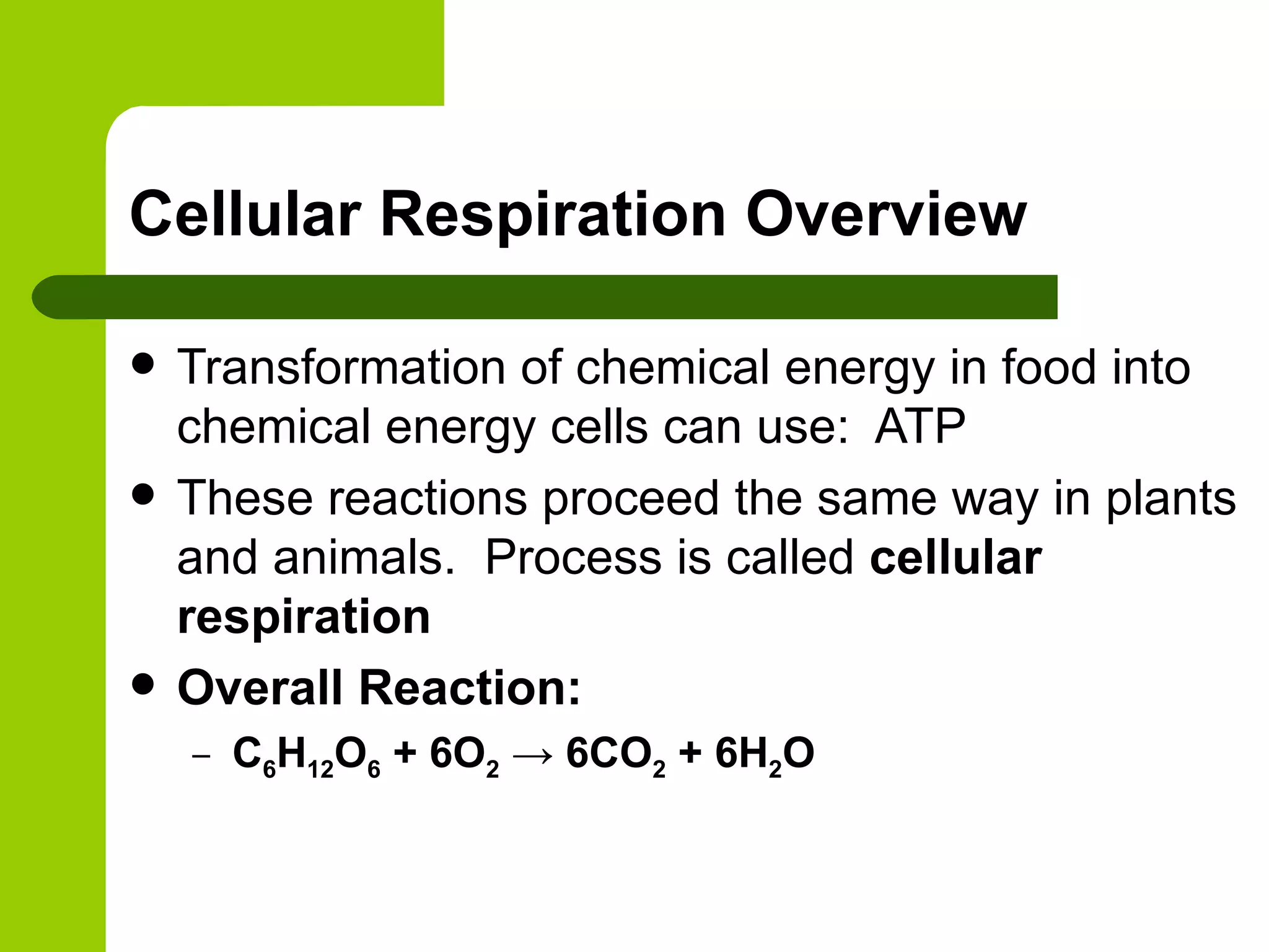 Photosynthesisand cellularrespirationpost | PPT