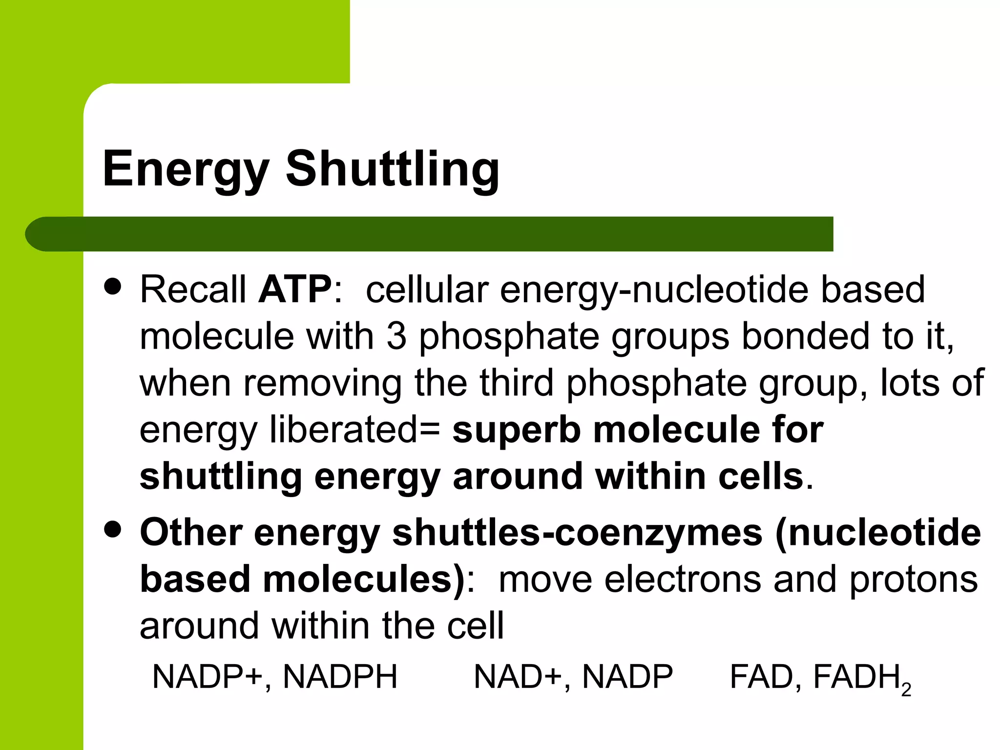 Photosynthesisand cellularrespirationpost | PPT
