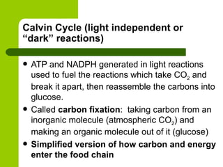 Photosynthesisand cellularrespirationpost | PPT