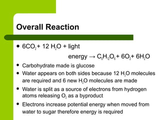 Photosynthesis and Cellular Respiration | PPT