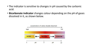 Photosynthesis and environment.pptx
