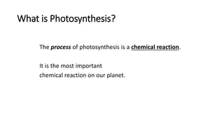 Photosynthesis and environment.pptx