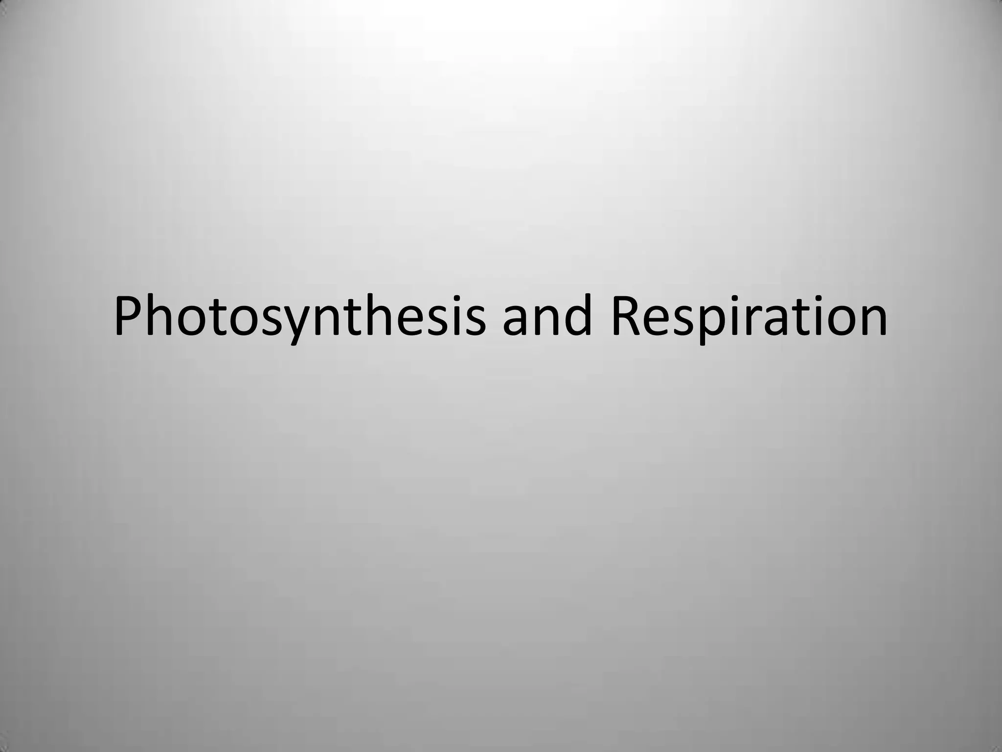 Photosynthesis and respiration | PPTX