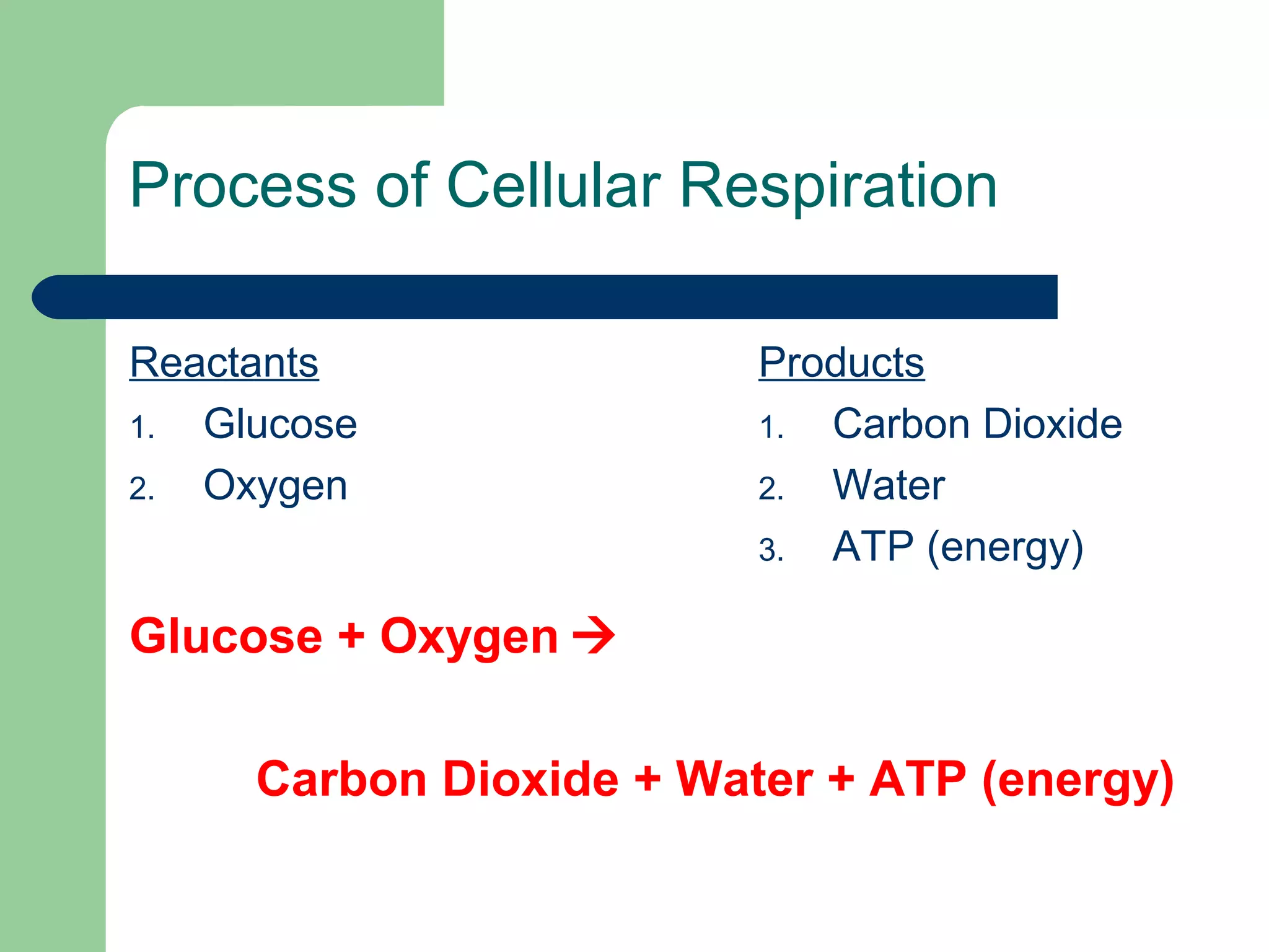 Photosynthesis and respiration | PPT