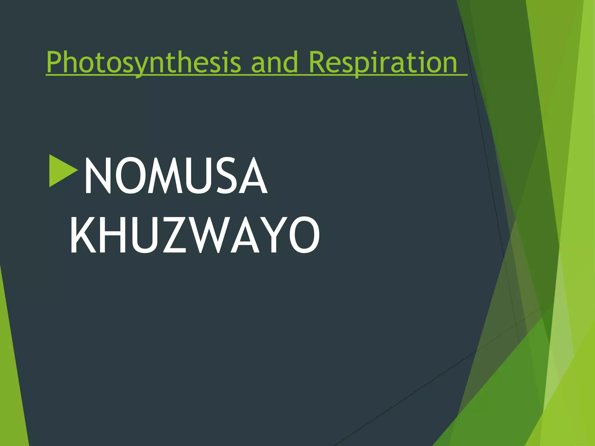 Photosynthesis and respiration powerpoints | PPT