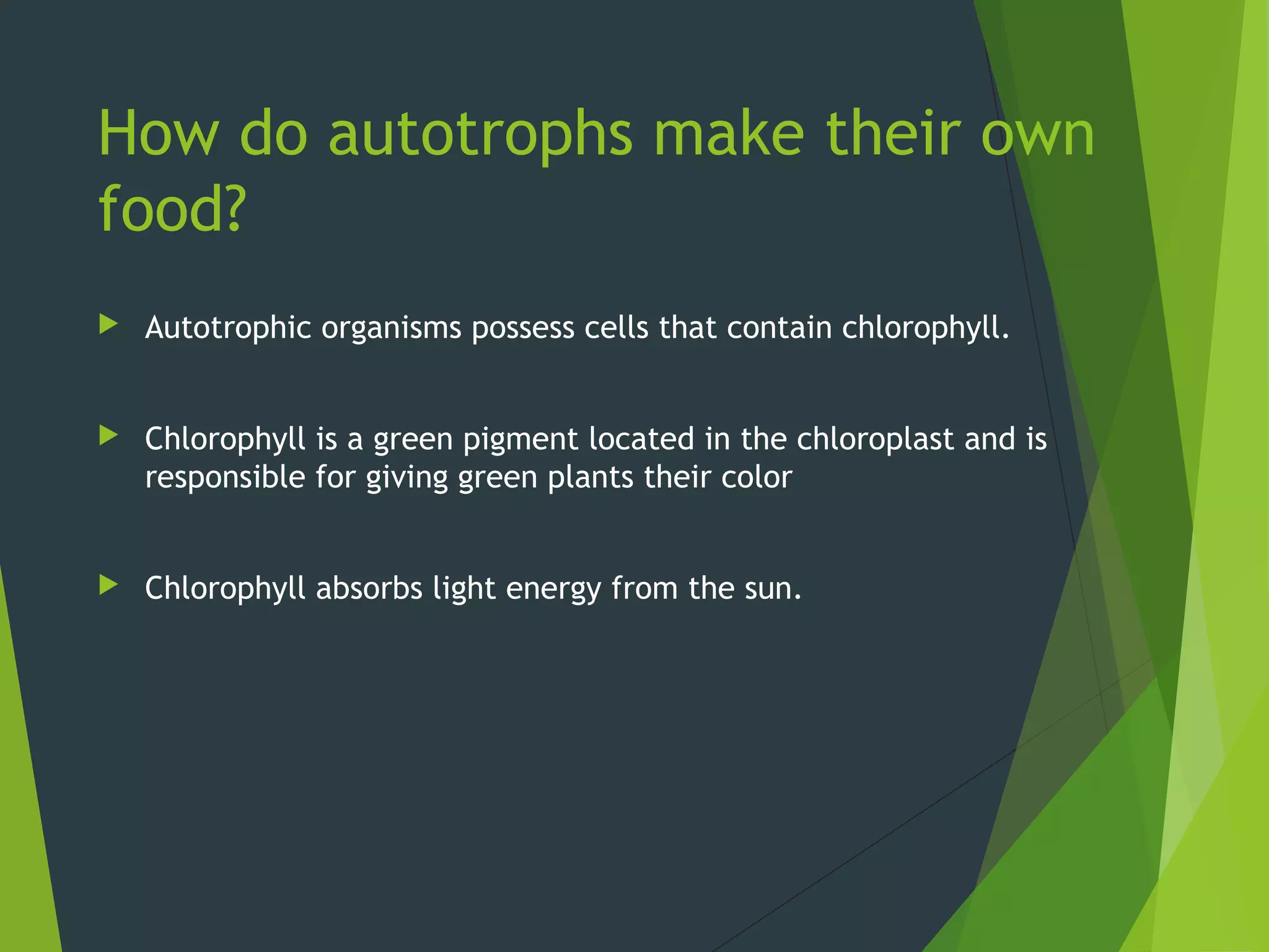 Photosynthesis and respiration powerpoints | PPT