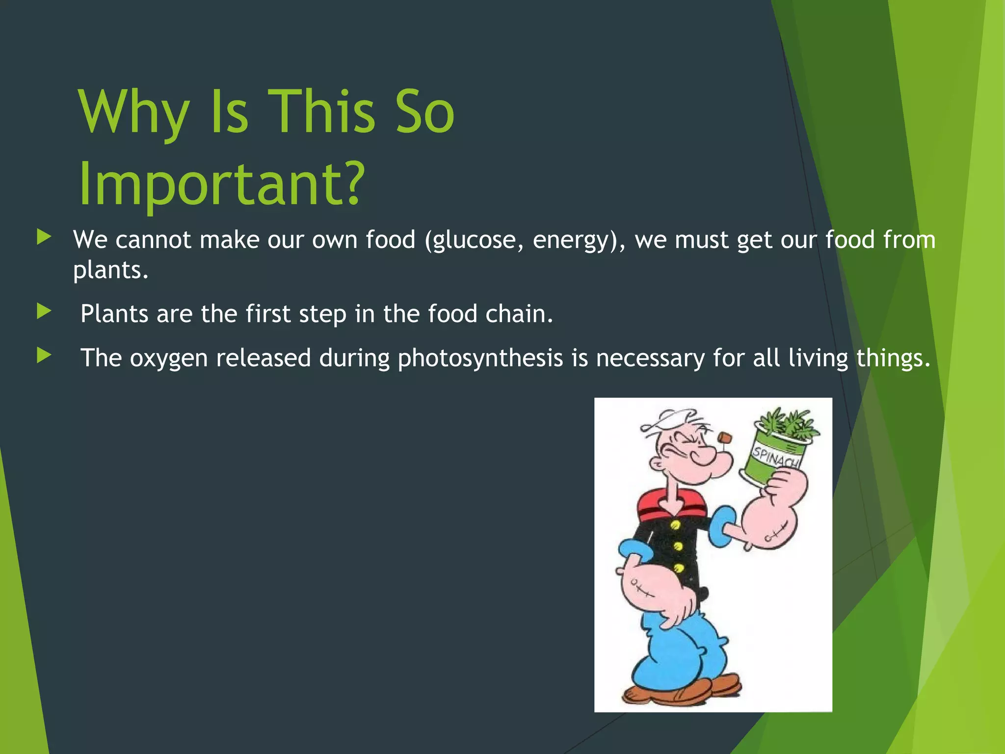 Photosynthesis and respiration powerpoints | PPT