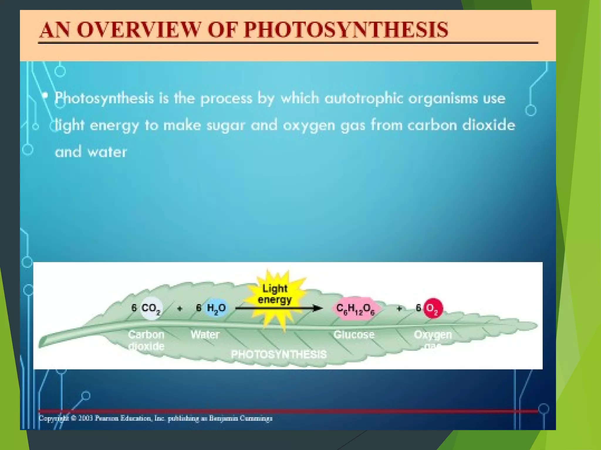 Photosynthesis and respiration powerpoints | PPT