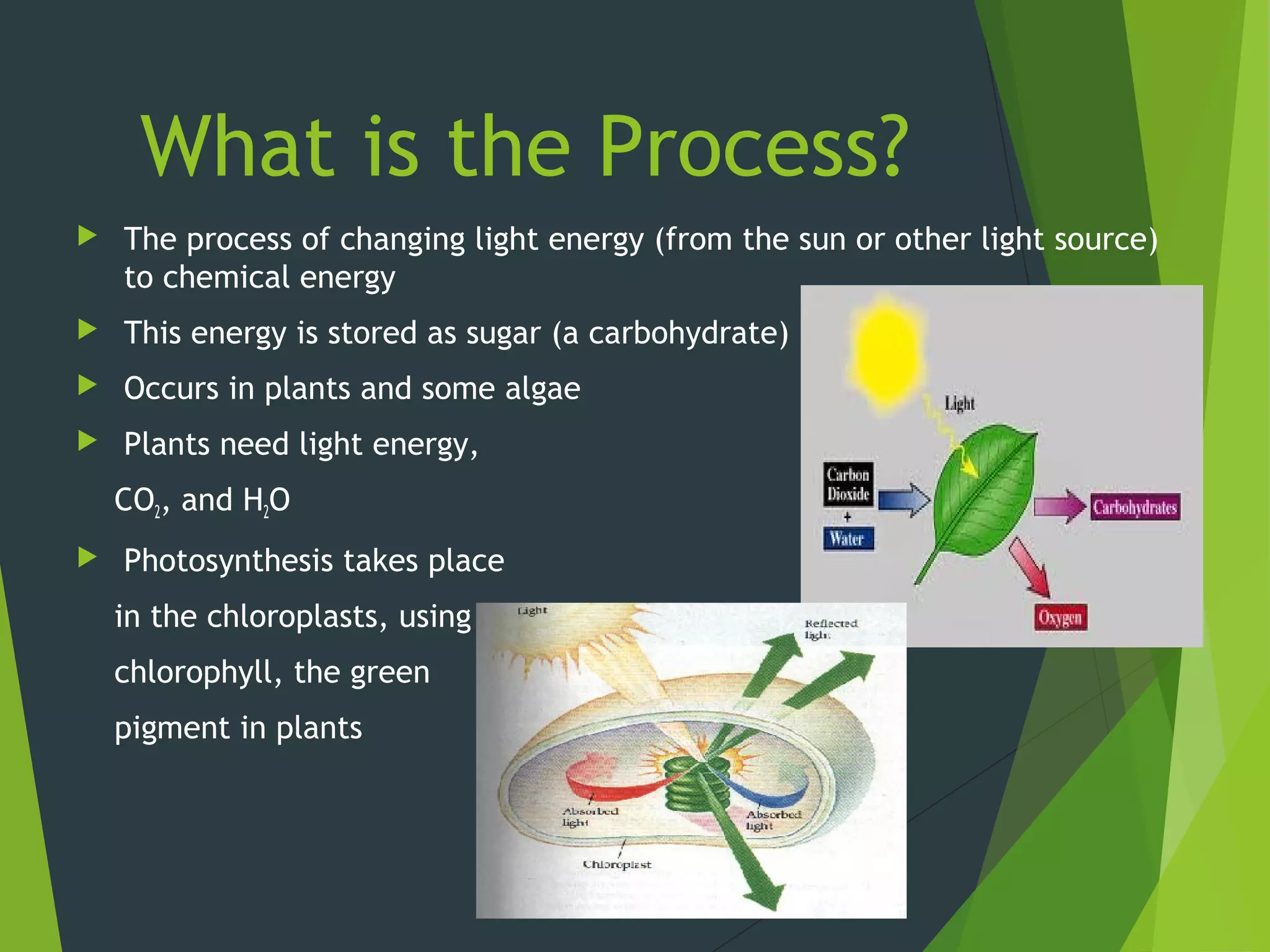 Photosynthesis and respiration powerpoints | PPT