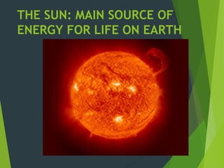 Photosynthesis and respiration powerpoints | PPT