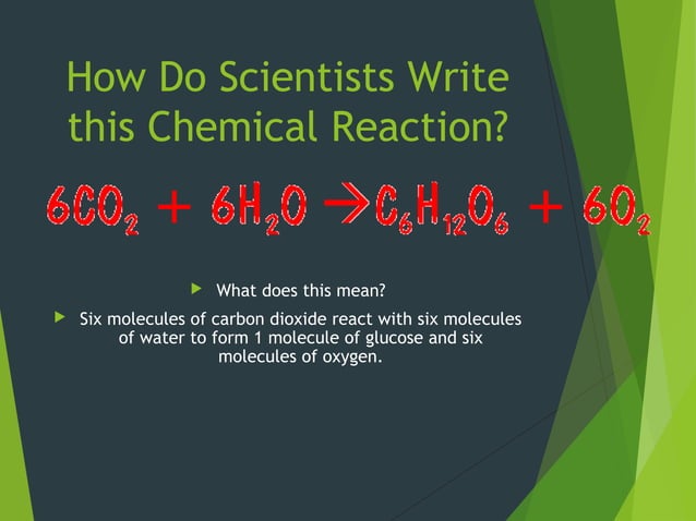 Photosynthesis and respiration powerpoints | PPT