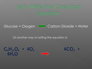 Photosynthesisandrespirationpvms 131120093226-phpapp01 | PPT