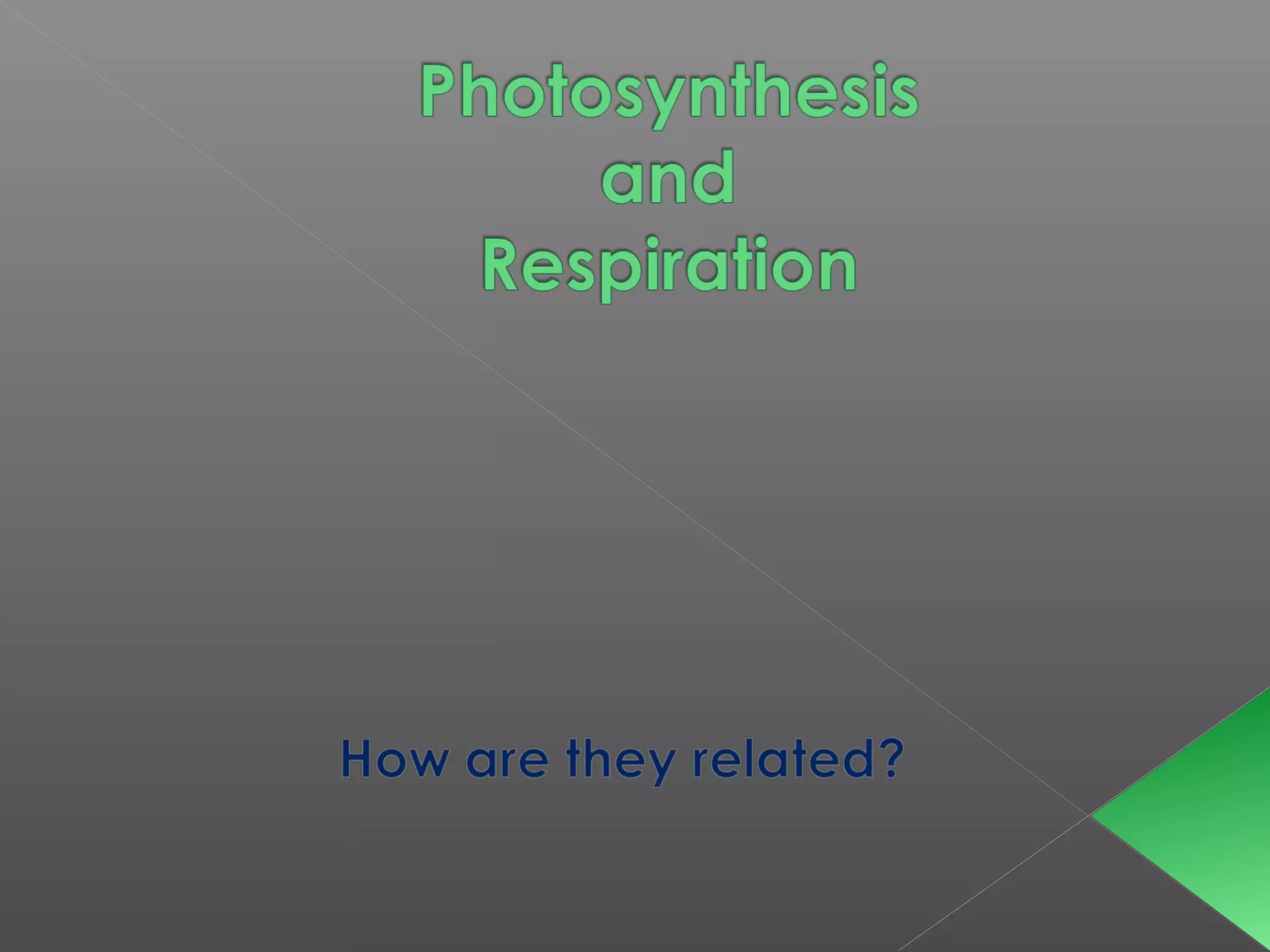 Photosynthesis and Cellular Respiration | PPT | Chemistry | Science