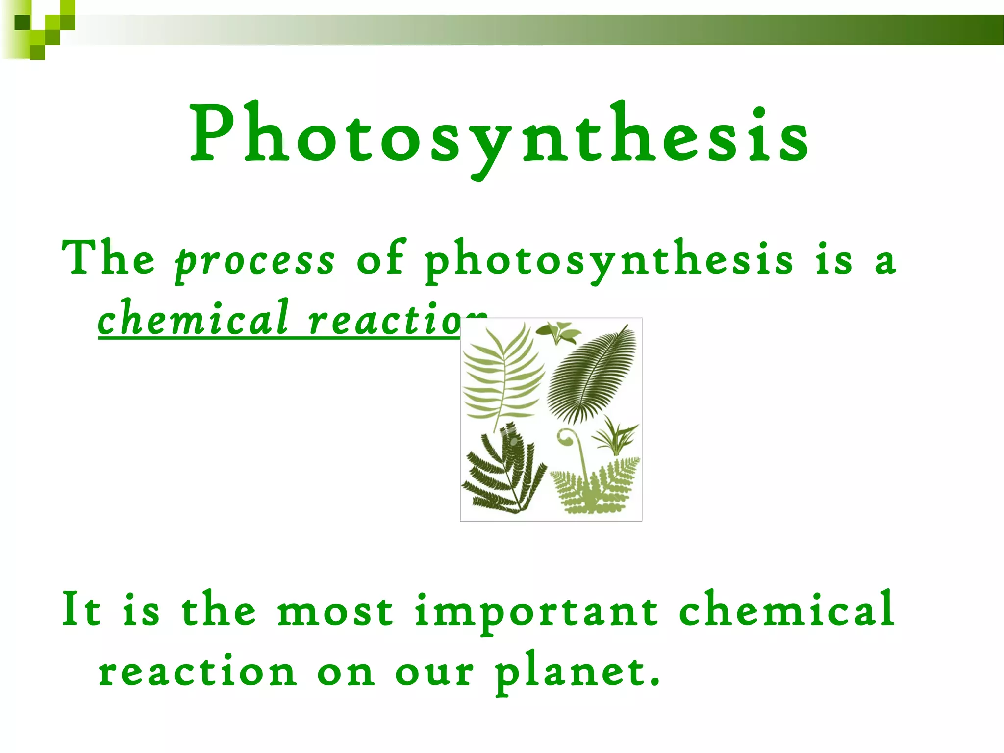 Photosynthesis+and+respiration+pvms[1] | PPT