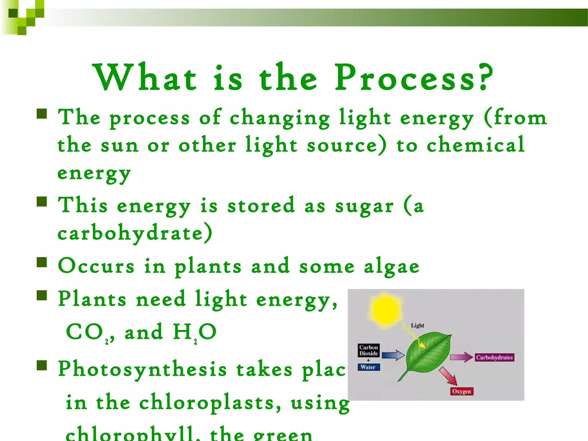 Photosynthesis+and+respiration+pvms[1] | PPT
