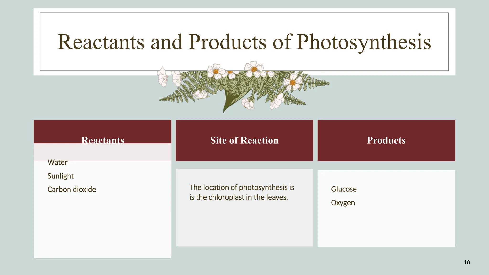Photosynthesis and The Carbon Cycle.pptx