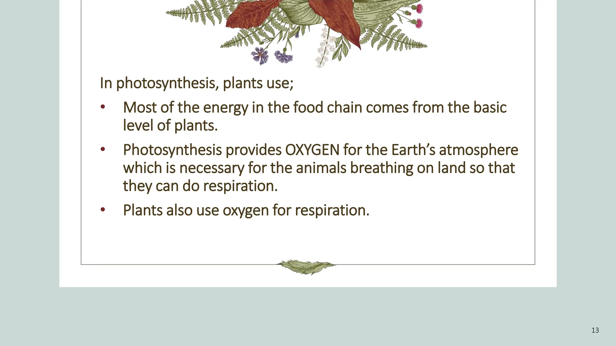 Photosynthesis and The Carbon Cycle.pptx