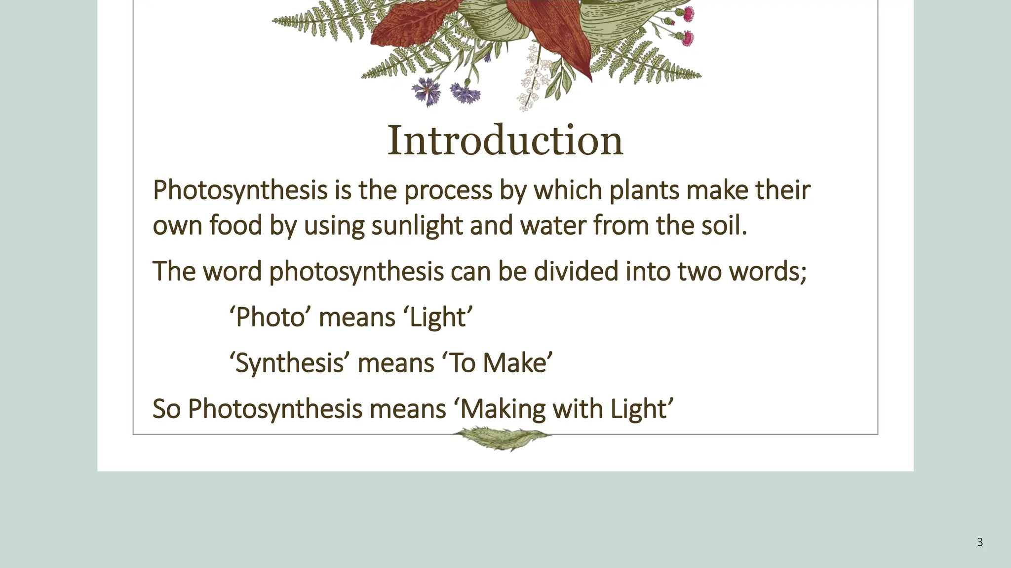 Photosynthesis and The Carbon Cycle.pptx