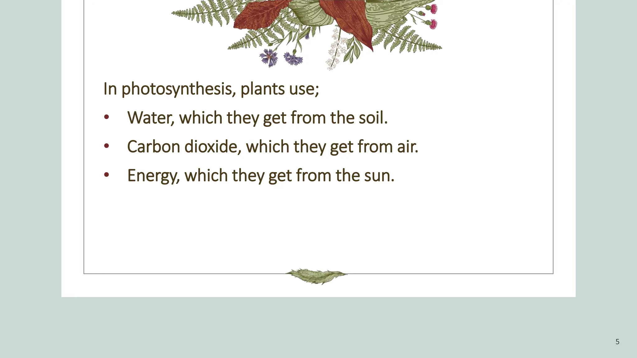 Photosynthesis and The Carbon Cycle.pptx