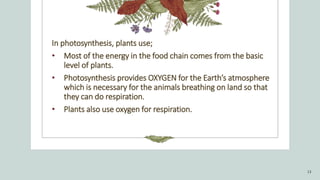 Photosynthesis and The Carbon Cycle.pptx