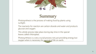Photosynthesis and The Carbon Cycle.pptx