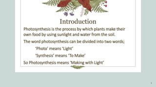 Photosynthesis and The Carbon Cycle.pptx