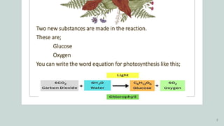 Photosynthesis and The Carbon Cycle.pptx