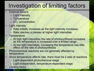 Photosynthesis as an Energy Transfer Process | PPT