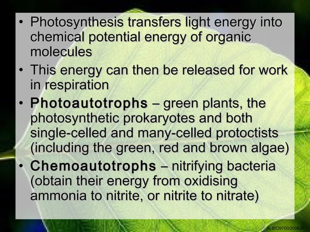 Photosynthesis as an Energy Transfer Process | PPT