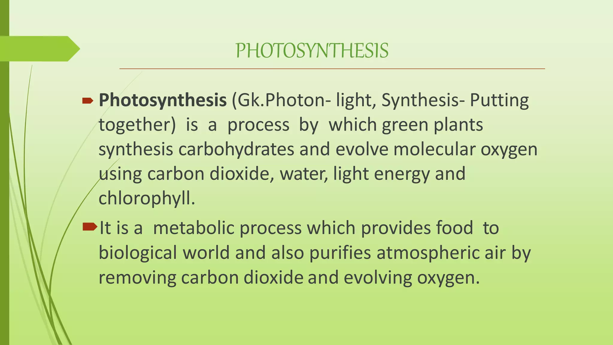 PHOTOSYNTHESIS | PPTX | Biological Sciences | Science