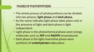 PHOTOSYNTHESIS | PPTX | Biological Sciences | Science