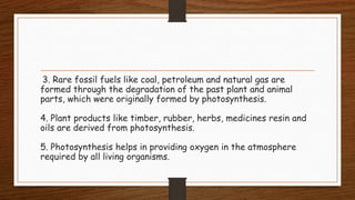 What is Photosynthesis? | PPTX