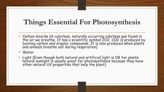 What is Photosynthesis? | PPTX