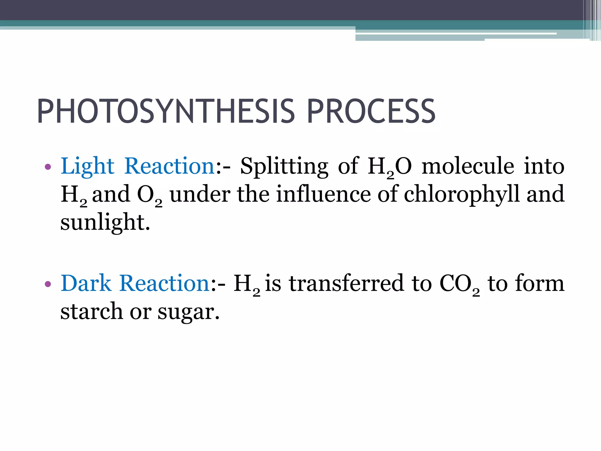 Photosynthesis (biomass) | PPTX