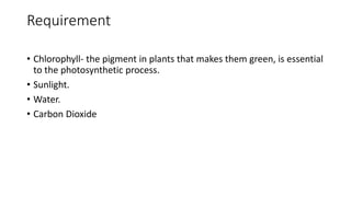 photosynthesis by Dr. Hasbi.pptx | Chemistry | Science
