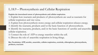 photosynthesis cell resp _ plants (2).pptx