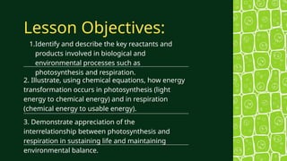 photosynthesis & cellular respiration.pptx