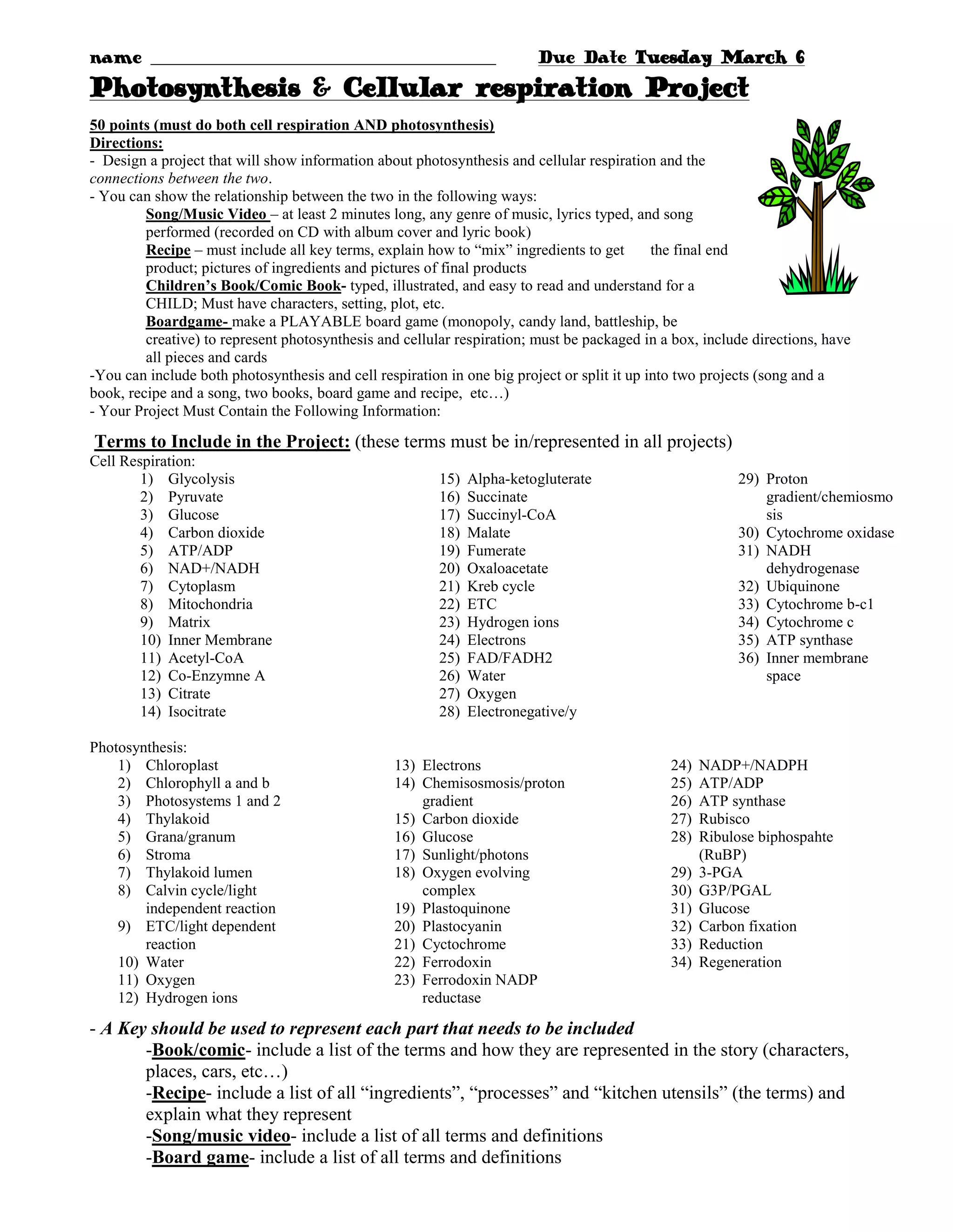 Photosynthesis cellular respiration poster project grading sheet | PDF