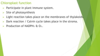 Photosynthesis & chloroplast | PPTX